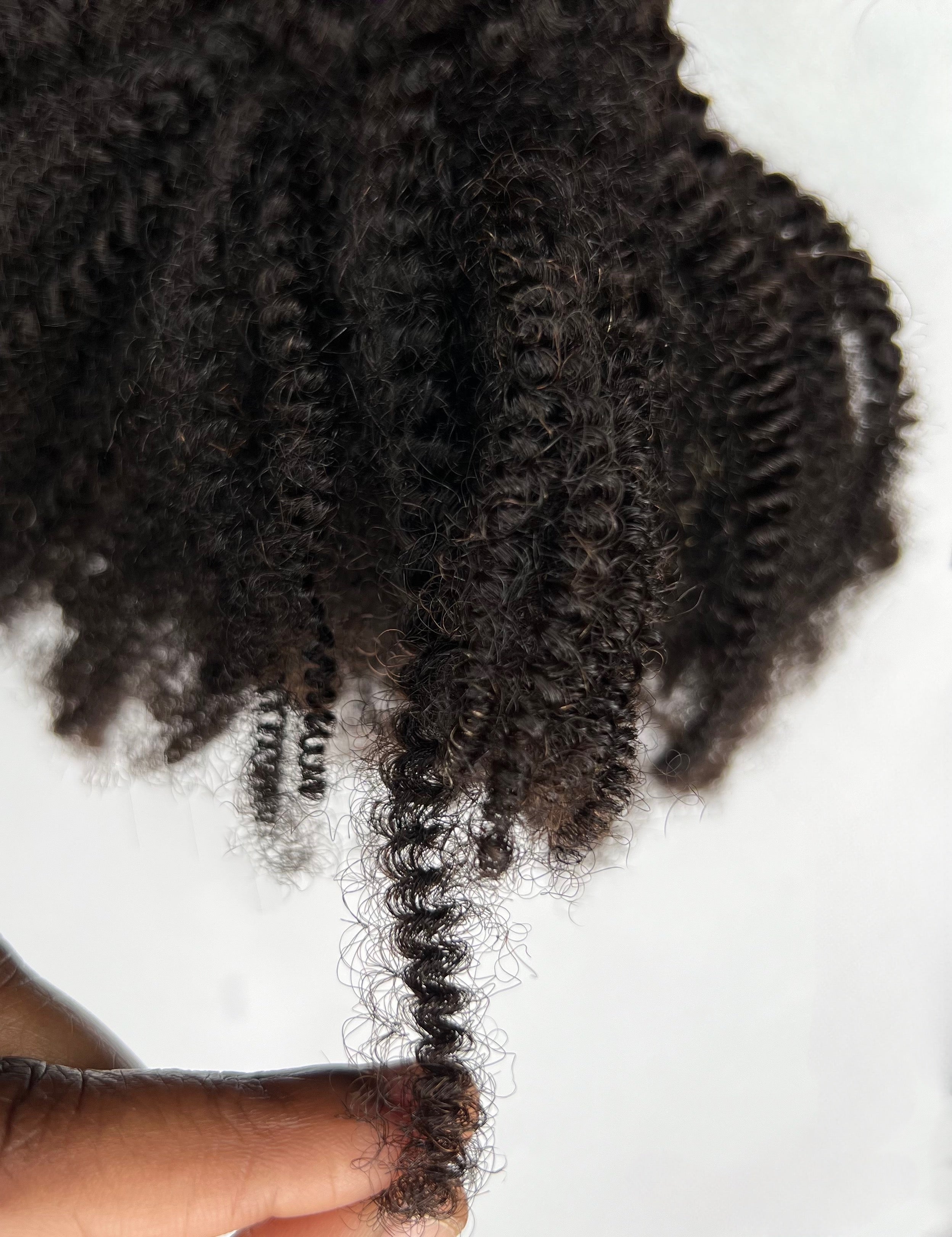 ARIA'S TEXTURE BUNDLES – Coily Oasis